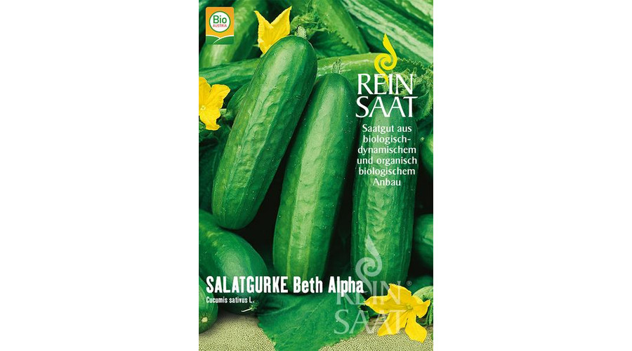BIO RS Uborka snack Beth Alpha - SALÁTAUBORKA Biokertápolás Kertészeti ...