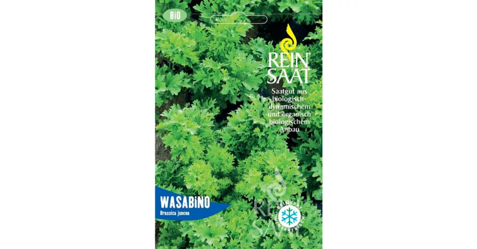 BIO Wasabino ázsiai saláta - ReinSaat - CSÍPŐS, HIDEGTŰRŐ - Latin Kert ...